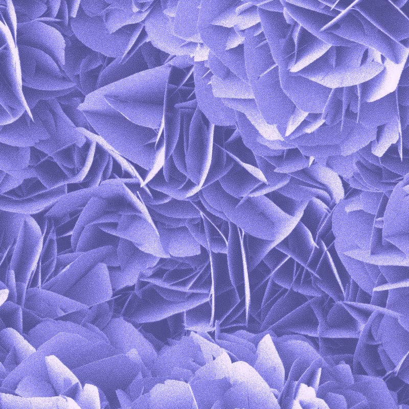 REVBIO TETRANITE IS A NOVEL REGENERATIVE ADHESIVE BIOMATERIAL